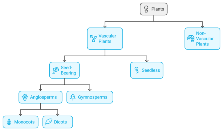 Plant Taxonomy for Dummies: Understanding Basic Plant Classification ...